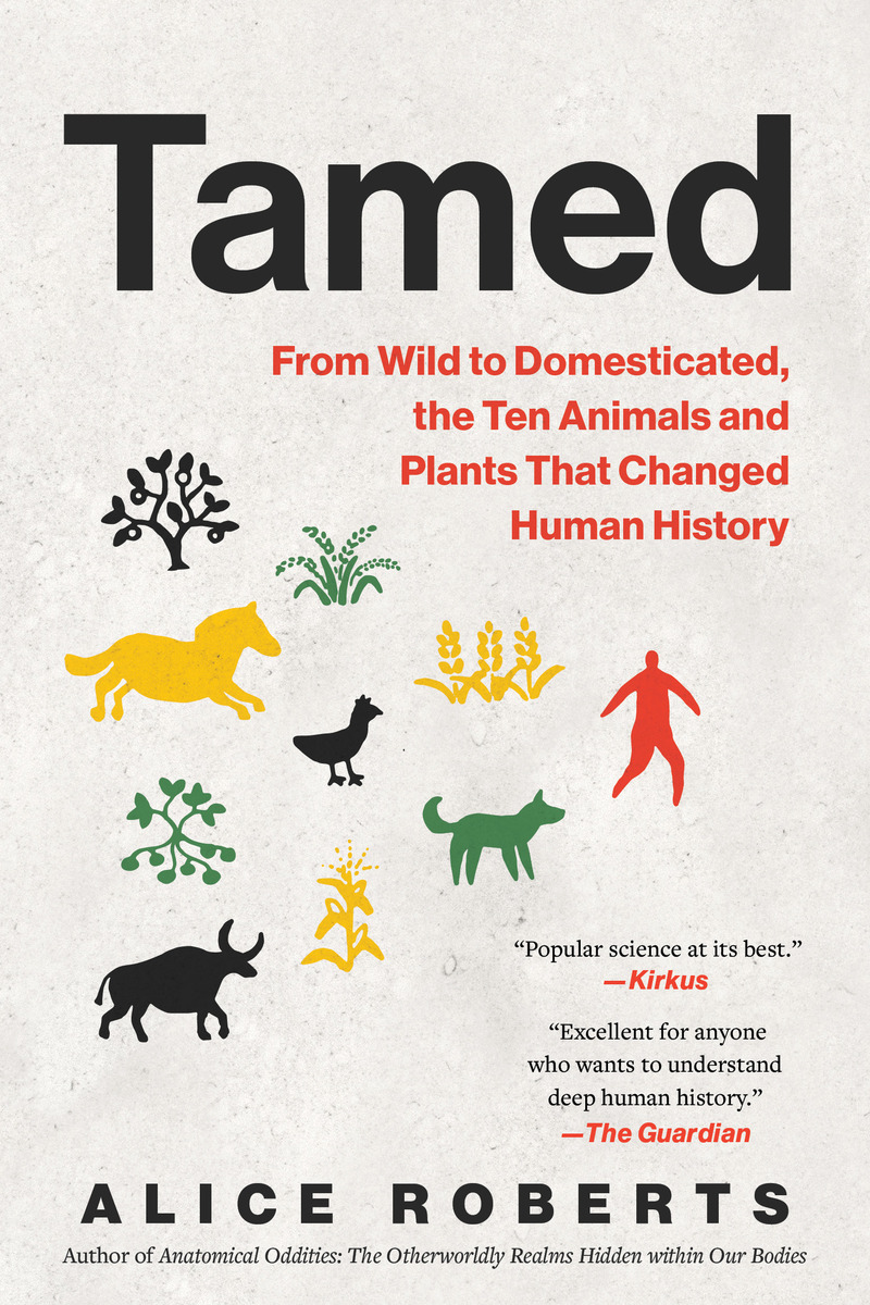 Tamed Toddler Taming By Christopher Green Penguin Books New Zealand